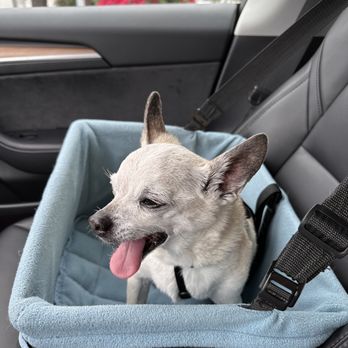 SANTA BARBARA HUMANE - Updated January 2026 - 55 Photos & 46 Reviews ...