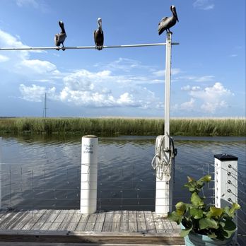 HALF SHELL DOCKSIDE - Updated December 2025 - 284 Photos & 238 Reviews ...