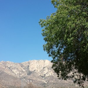 EL MONTE COUNTY PARK - 41 Photos & 14 Reviews - Parks - 15805 El Monte ...