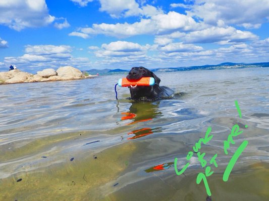 BEALS POINT CAMPGROUND - Updated August 2024 - 54 Photos & 31 Reviews ...