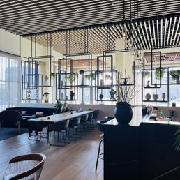 MYA ROOFTOP - Updated December 2025 - 492 Photos & 421 Reviews - 1100 N ...