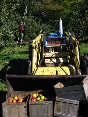 BOLTON SPRING FARM - 58 Photos & 52 Reviews - Fruits & Veggies - 149 ...