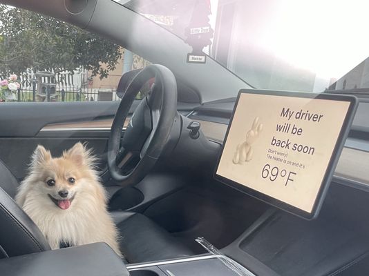 TESLA - PORTLAND - Updated December 2025 - 34 Photos & 65 Reviews ...