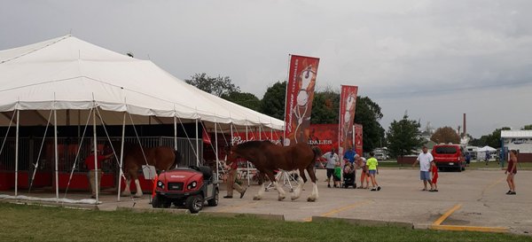 MISSOURI STATE FAIR - 33 Photos & 24 Reviews - 2503 W 16th St, Sedalia ...