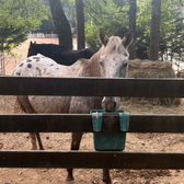 CLOVERLAND RANCH - Updated January 2026 - 40 Photos & 22 Reviews - 351 ...