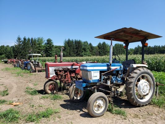 ROTTCAMP BROTHERS FARM - Updated November 2024 - 43 Photos & 41 Reviews ...