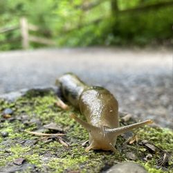 THE 10 BEST Things to Do in Ariel, WA - 2025 - Yelp