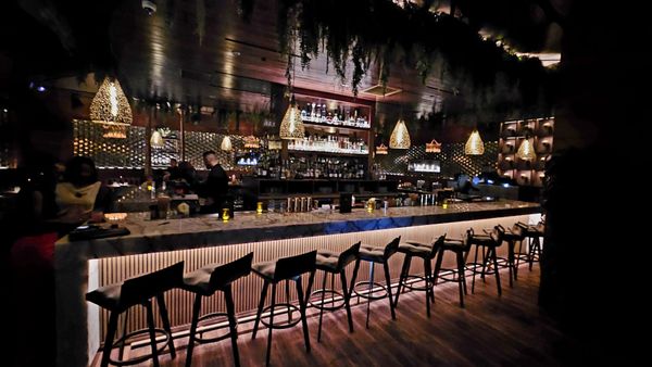 TOCO MADERA - Updated October 2025 - 39 Photos & 15 Reviews - 1717 ...