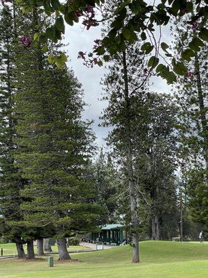 LEILEHUA GOLF COURSE - Updated October 2024 - 95 Photos & 52 Reviews ...