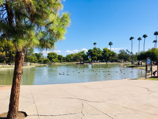 ROADRUNNER PARK - 61 Photos & 24 Reviews - 3502 E Cactus Rd, Phoenix ...