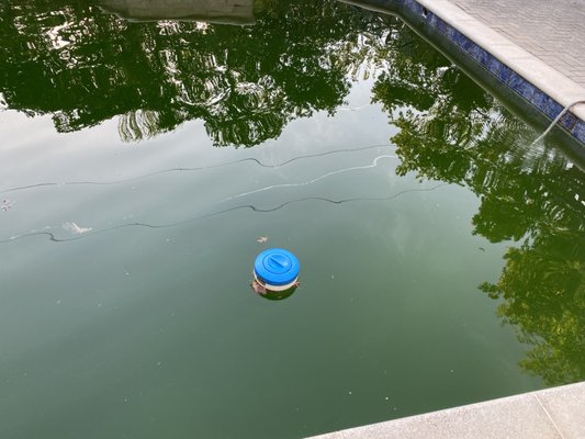 BLUE SCIENCE POOLS - Updated December 2025 - 40 Photos & 111 Reviews ...