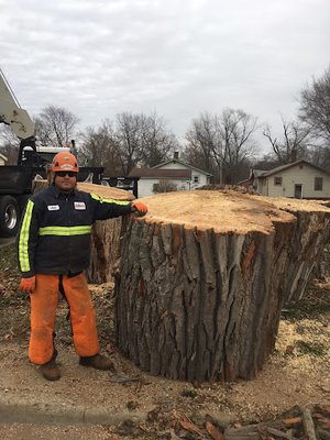 HOMER TREE CARE - Updated December 2025 - 27 Photos & 40 Reviews ...