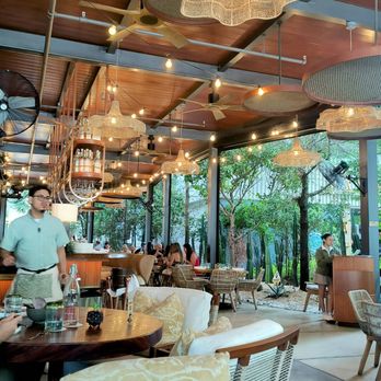 KOKO - Updated July 2025 - 615 Photos & 255 Reviews - 2856 Tigertail ...