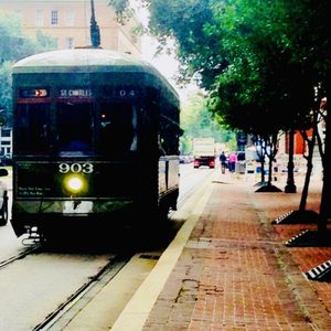 ST. CHARLES STREETCAR LINE - 295 Photos & 312 Reviews - New Orleans ...