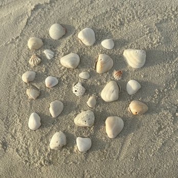 VIA MIRAMAR - Updated November 2025 - 34 Photos & 11 Reviews - 2700 ...