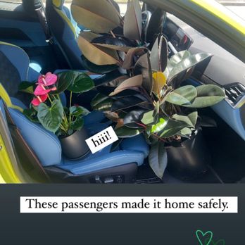 FLOWERCRAFT GARDEN CENTER - Updated November 2025 - 704 Photos & 239 ...