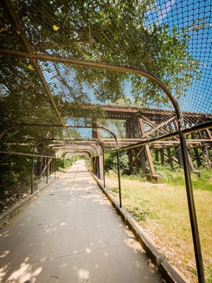 BRUSHY CREEK LAKE PARK - Updated December 2025 - 317 Photos & 93 ...