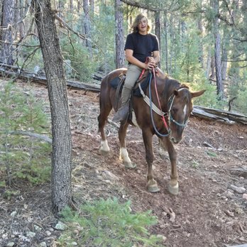 KOHL’S RANCH STABLES - Updated October 2025 - 43 Photos & 27 Reviews ...