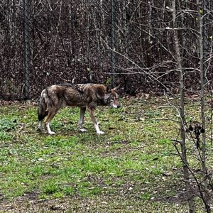 SEWEE VISITOR AND ENVIRONMENTAL EDUCATION CENTER - 20 Photos - 5821 N ...