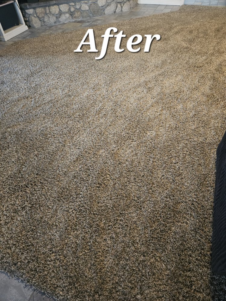 FIRST CLASS CARPET CARE - Updated October 2025 - 26 Photos & 17 Reviews ...