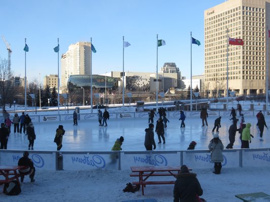 RINK OF DREAMS - Updated February 2025 - 13 Photos - 110 Laurier Avenue ...