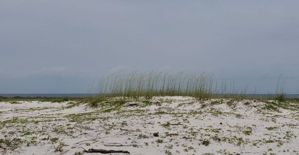 DAUPHIN ISLAND WEST END BEACH - 47 Photos & 15 Reviews - Beaches - 531 ...
