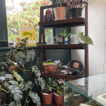 PRIMAL DECOR - Updated December 2025 - 102 Photos & 145 Reviews - 1908 ...