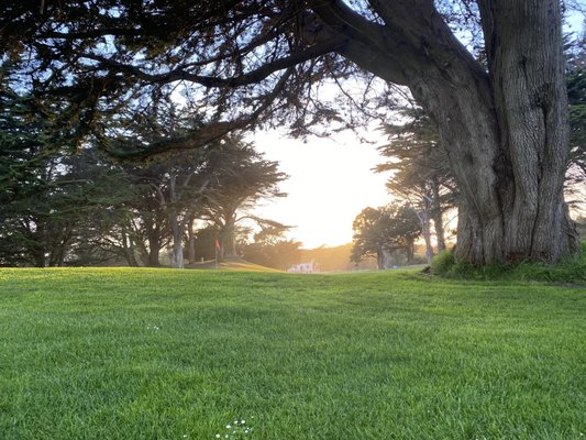 GOLDEN GATE PARK GOLF COURSE - 60 Photos & 191 Reviews - 970 47th Ave ...