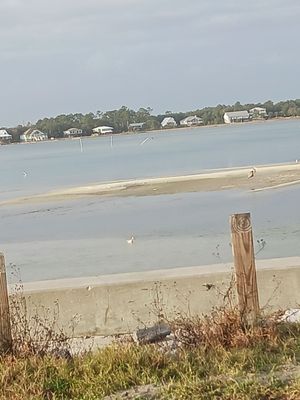 LITTLE LAGOON PASS PARK - Updated January 2026 - 36 Photos - 1660 W ...