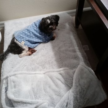 SPCA FLORIDA - Updated June 2024 - 83 Photos & 48 Reviews - 5850 ...