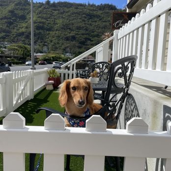 CHOCO LE’A - Updated December 2025 - 955 Photos & 187 Reviews - 2909 ...