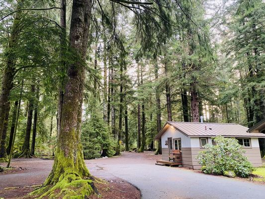 THREE RIVERS RESORT & GUIDE SERVICE - Updated August 2025 - 41 Photos ...