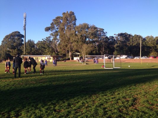 ERIC MOBBS RESERVE - Updated March 2024 - Ferguson Ave, Castle Hill New ...