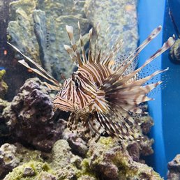 FIREFIN GRILL - Updated December 2025 - 218 Photos & 194 Reviews - 2401 ...