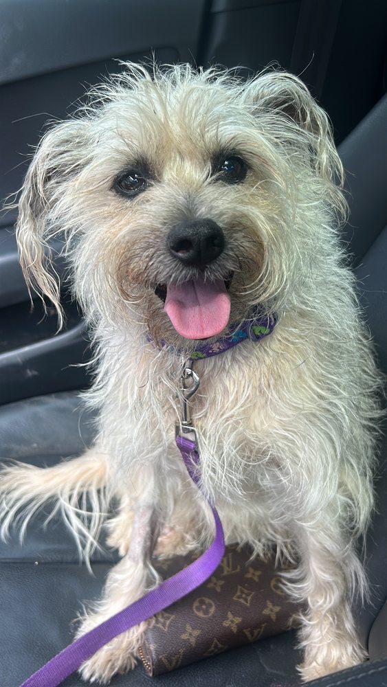 HEIDI WARD, DVM - 17 Photos & 37 Reviews - 7519 S Tamiami Trl, Sarasota ...