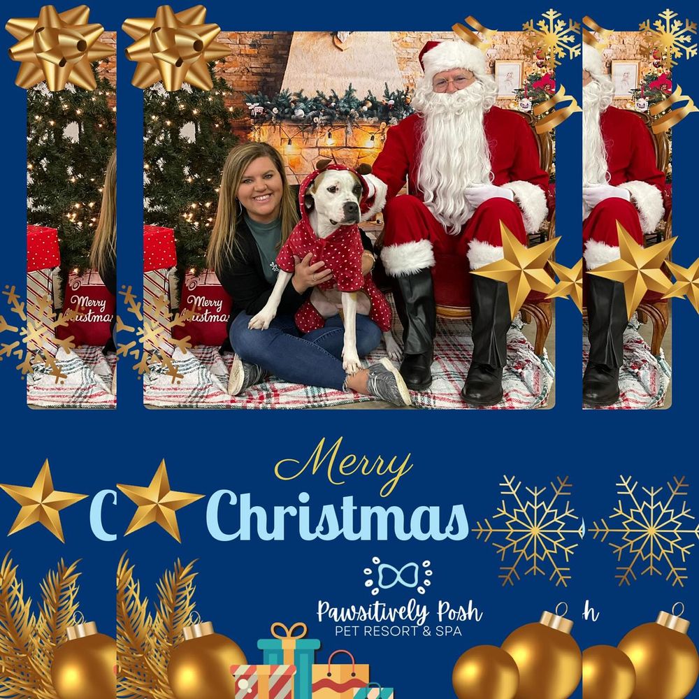 PAWSITIVELY POSH PET RESORT & SPA - Updated December 2024 - 178 N ...