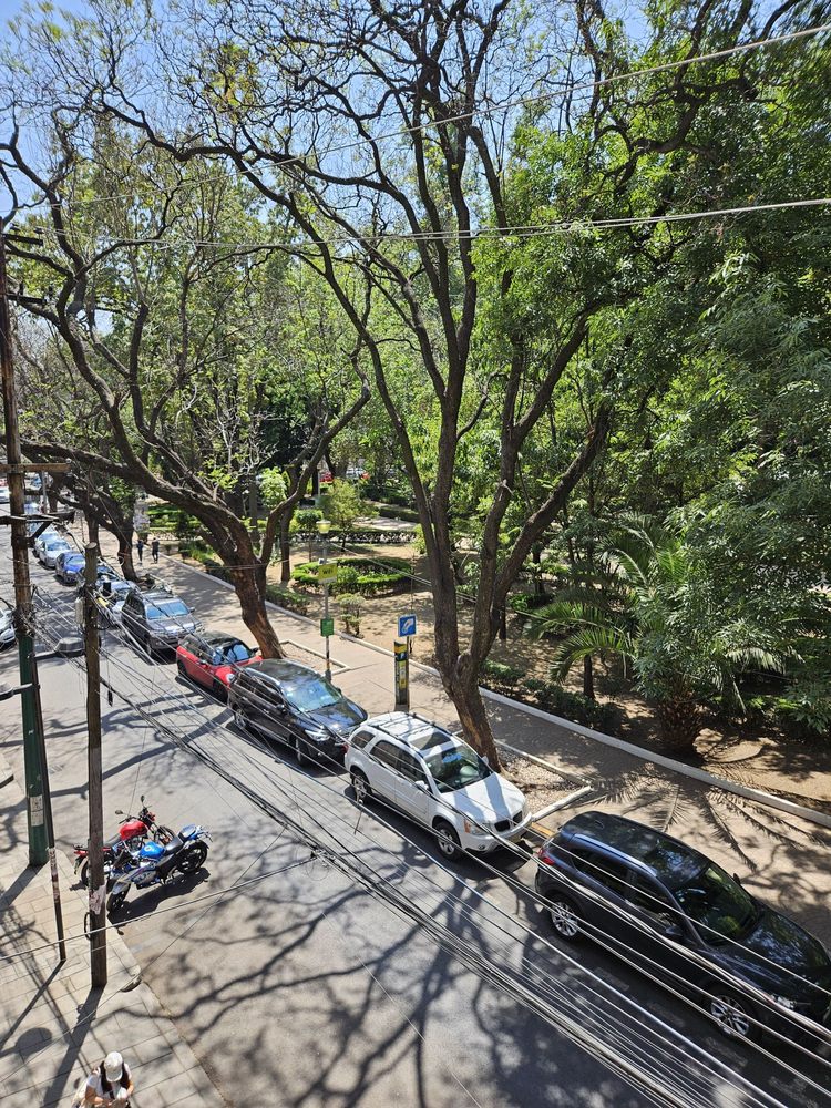 PARQUE MEXICO - Updated October 2025 - 138 Photos - 29 Reviews - Av ...