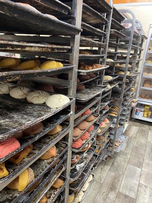 KATHY’S BAKERY BROS. - Updated January 2026 - 17 Photos & 37 Reviews ...