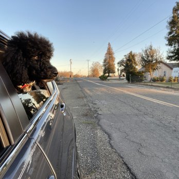 CR RANCH PET-O-TEL - Updated December 2025 - 147 Photos & 79 Reviews ...