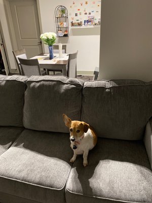 Athenas furniture outlet store