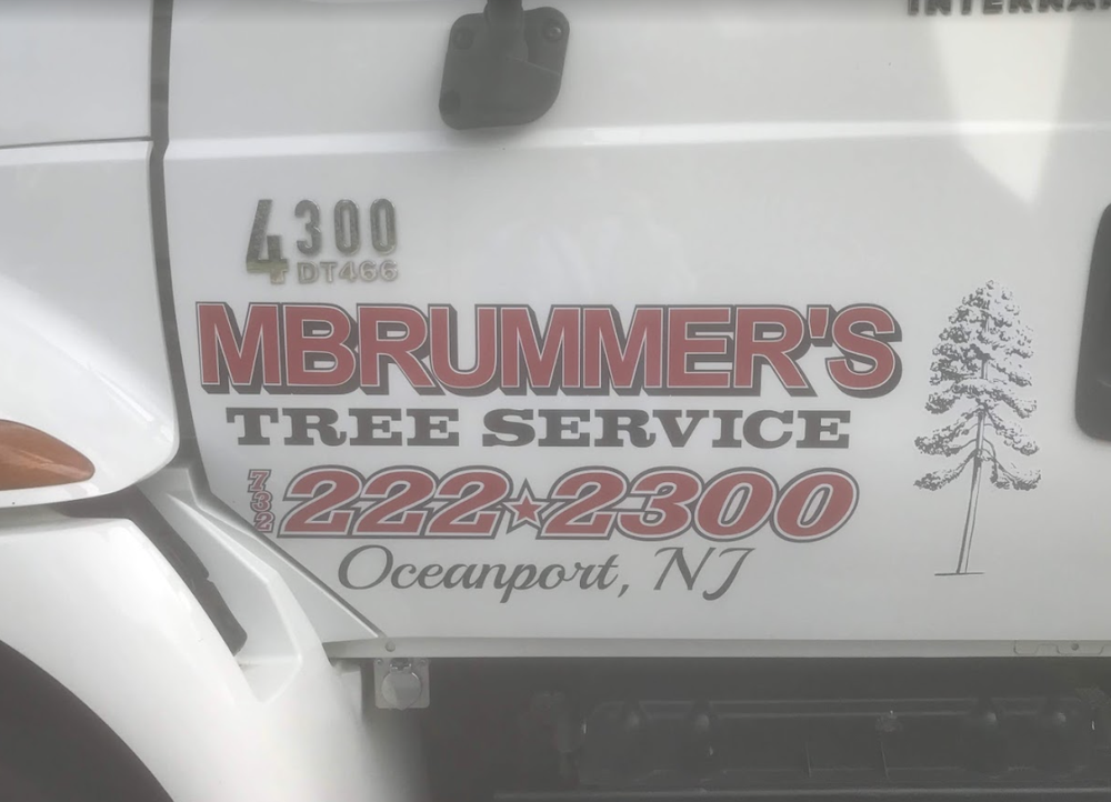 MARK BRUMMER’S TREE SER - Updated December 2025 - 42 Comanche Dr ...