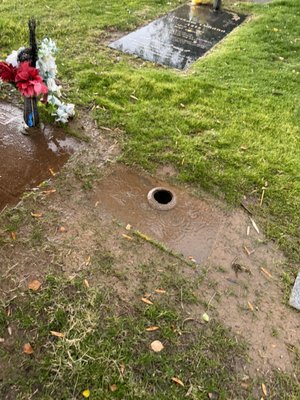 PHOENIX MEMORIAL PARK AND MORTUARY - Updated December 2025 - 55 Photos ...