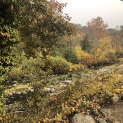 SEQUOIA RV RANCH - Updated February 2025 - 132 Photos & 107 Reviews ...