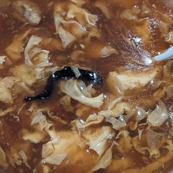 CHANS KITCHEN - Updated November 2024 - 57 Photos & 72 Reviews - 2240 E ...