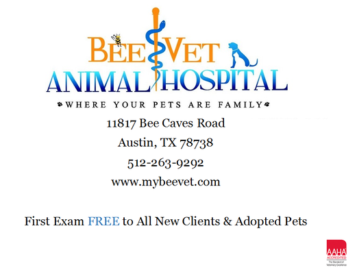 BEEVET ANIMAL HOSPITAL - Updated January 2026 - 26 Photos & 79 Reviews ...