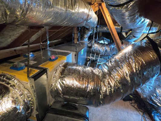 SUNNY SERVICE - Updated August 2024 - 41 Photos & 30 Reviews - 1500 ...