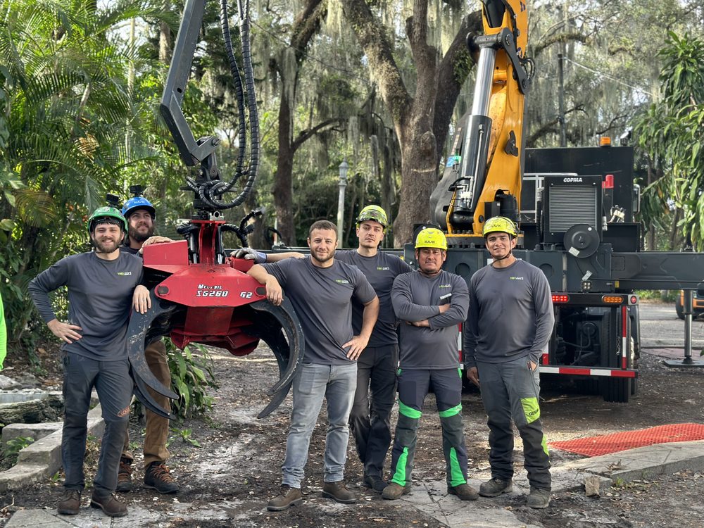 TREE JAWS - Updated January 2026 - 49 Photos - 2475 W State Rd 84, Fort ...