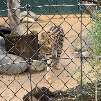 ORANGE COUNTY ZOO - 1265 Photos & 363 Reviews - 1 Irvine Park Rd ...
