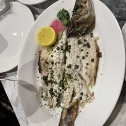 CARPACCIO - Updated September 2025 - 294 Photos & 99 Reviews - 1 ...