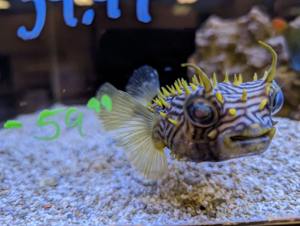 FISH FREAKS - Updated July 2025 - 27 Photos & 35 Reviews - 2502 S 133rd ...